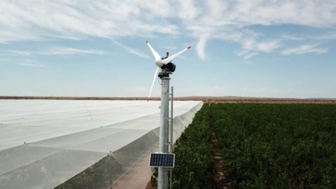 Frost Fans | Vinvicta Services